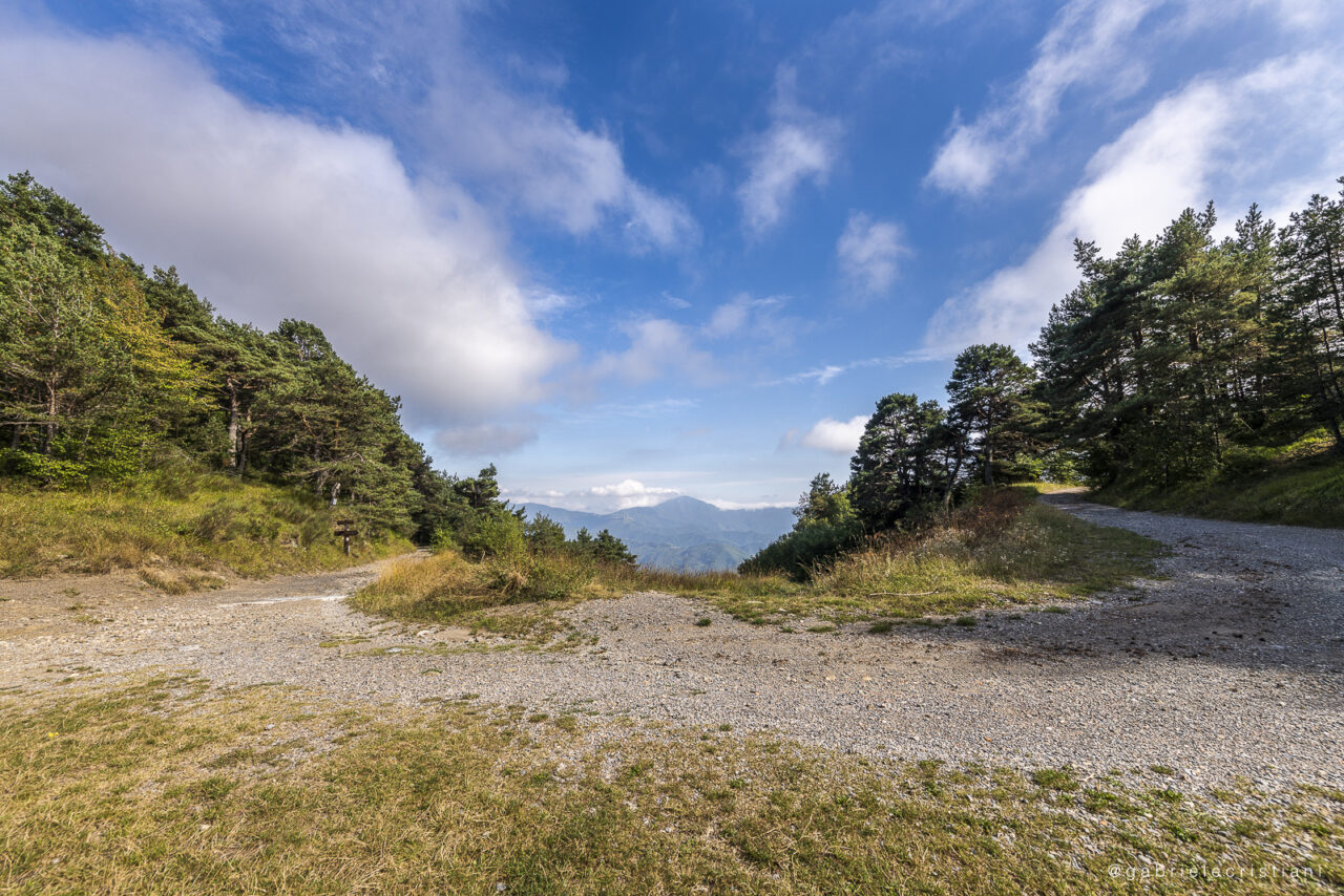 Photogallery | Parco Alpi Liguri