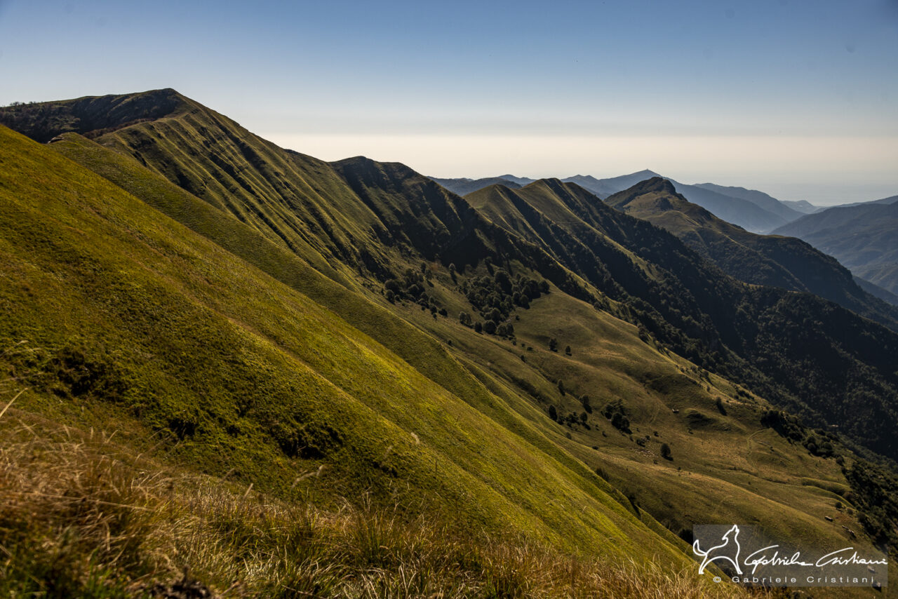 Photogallery | Parco Alpi Liguri