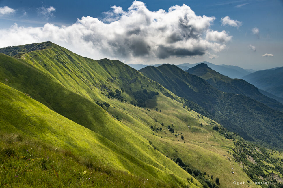 Photogallery | Parco Alpi Liguri