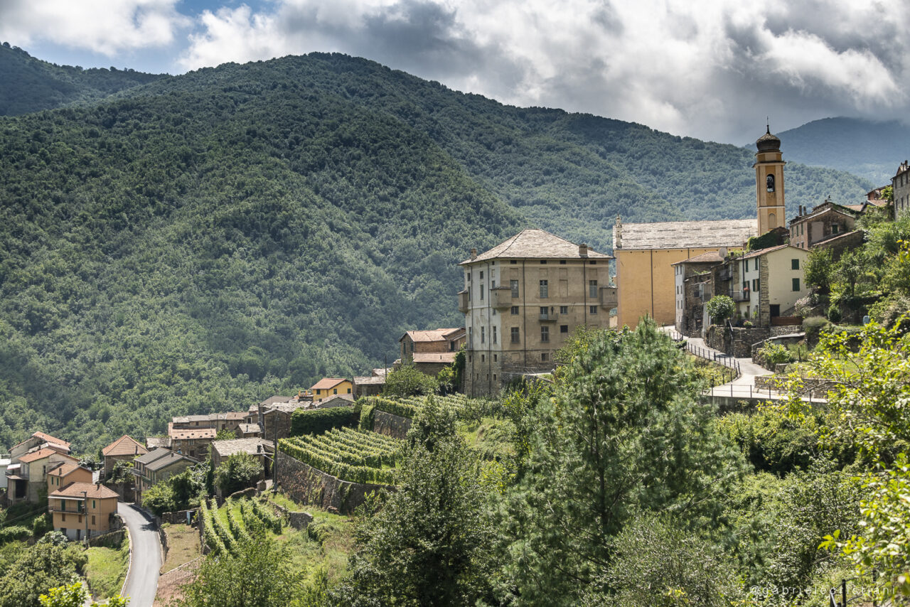 Photogallery | Parco Alpi Liguri