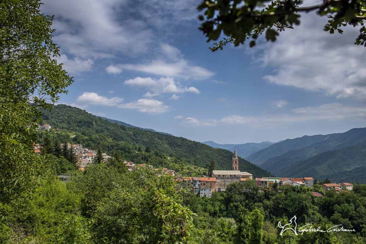 Photogallery | Parco Alpi Liguri
