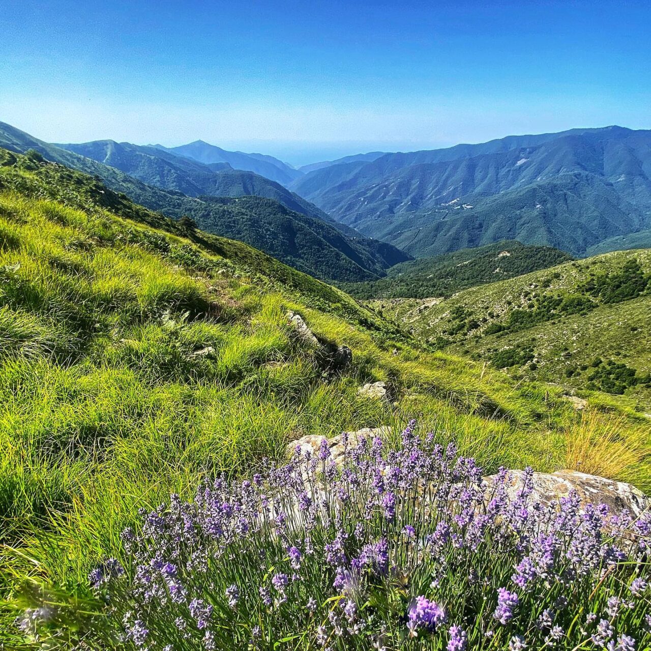 Parco Alpi Liguri | La Natura fatta a mano